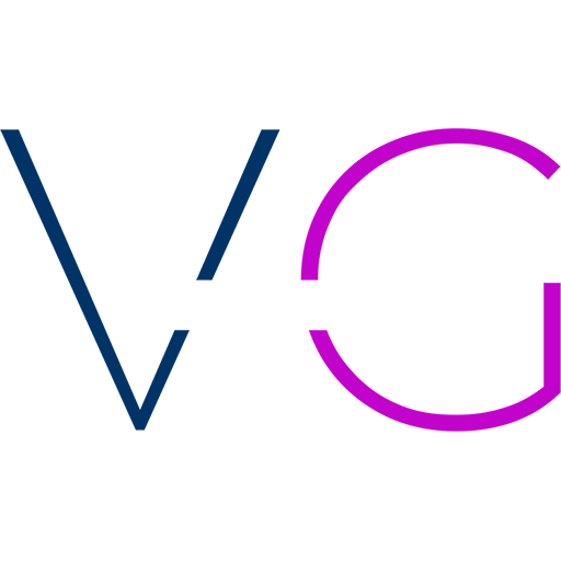 VISION GROUP EXECUTIVE ADVISORS
